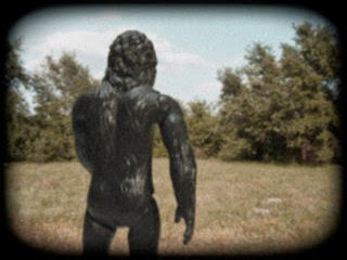 Bigfoot Bombshell Interview With Carter Buschardt Returns BFRO ...