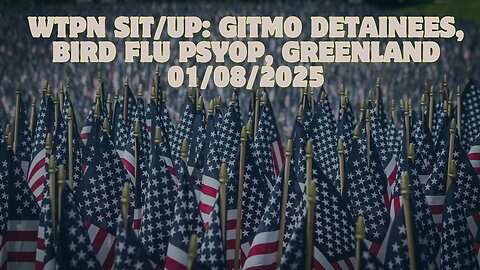 WTPN SIT/UP: GITMO Detainees, Bird Flu Psyop, Greenland, Poison Fog ...