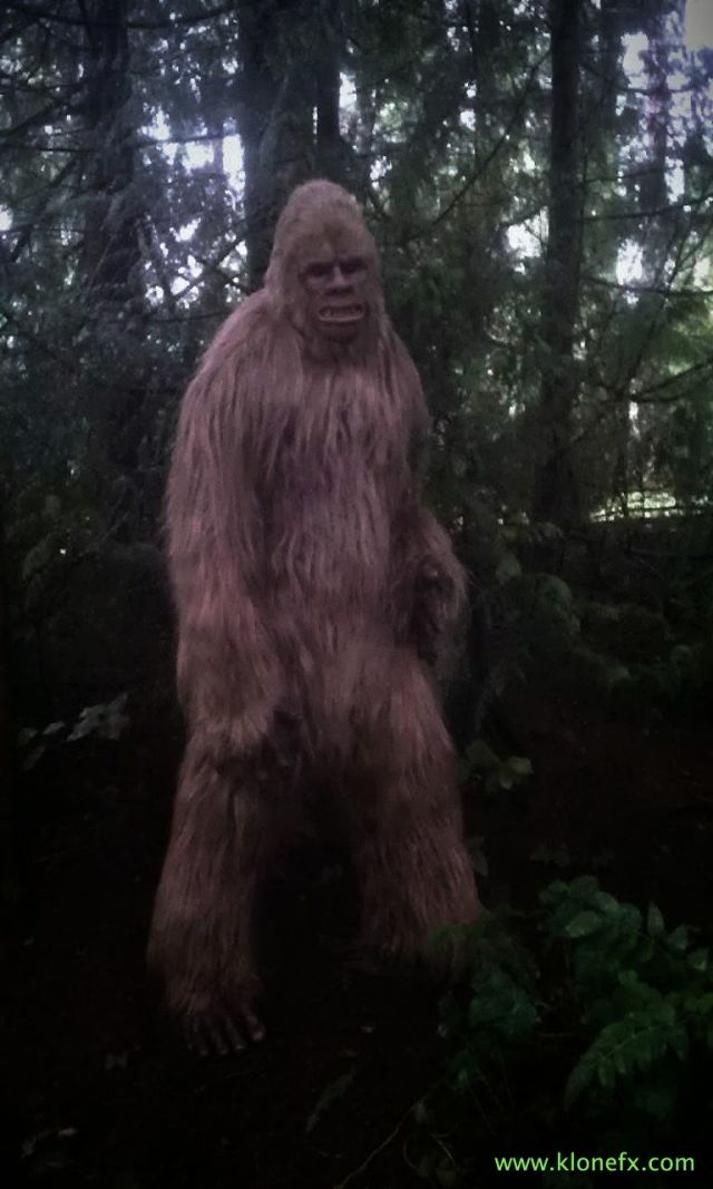 This Witness Gives a Great Description of What Bigfoot Looked Like ...