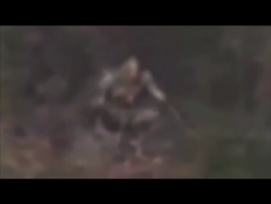Mysterious Creatures Caught on Camera in Oregon, Argentina and Chile ...