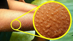 60 Plus Weird Body Facts to Nail Your Biology Class (Video) | Science ...