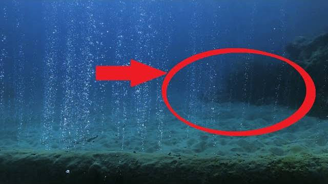 What the Hell is Going On Under The Oceans?! Suspicious 0bserver ...