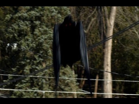 Unexplained Paranormal Events | Paranormal