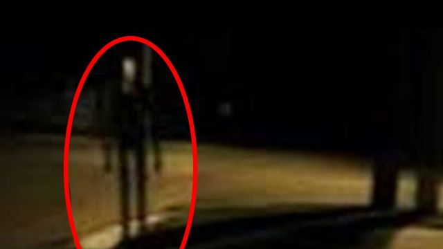 5 Unknown Creatures Caught On Camera & Spotted In Real Life! | Paranormal
