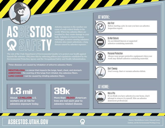 Homeowner is Guide: 4 Essential Asbestos Removal Tips | Business ...