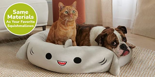 Creating the Perfect Squishmallow Pet Bed Sanctuary | Animals-Pets ...