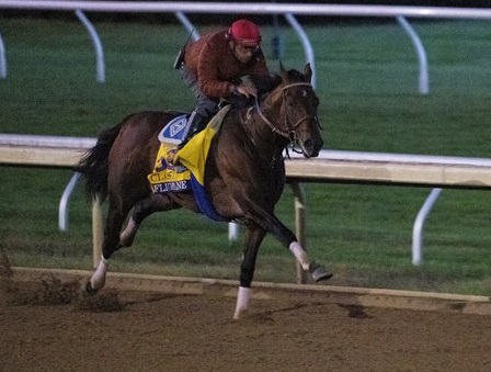 Why Did Flightline Retire After the Breeders’ Cup? | Sports | Before It ...