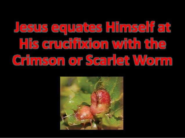 The Book of Jonah Prophesied the Coming Messiah, Jesus, and High Priest ...