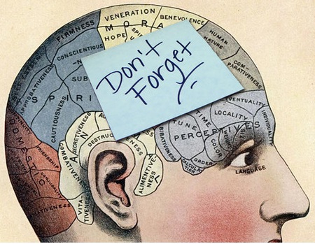 Eidetic Memory VS. Photographic Memory: What Is It? | Before It's News ...