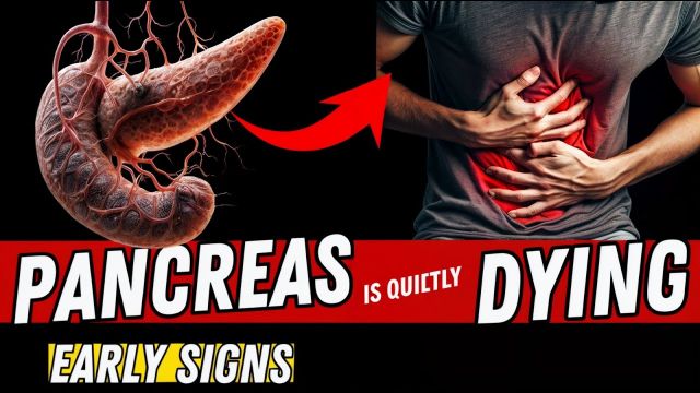 First Alarming Signs of Pancreatic Disease—Foods You Need for a Strong ...