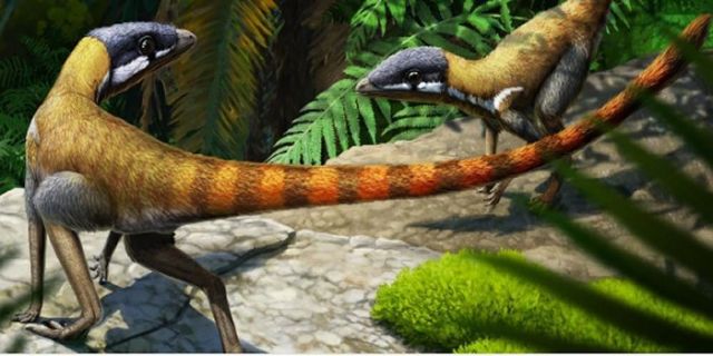Triassic Specimen Found To Be Early Relative Of Pterosaurs A Century ...