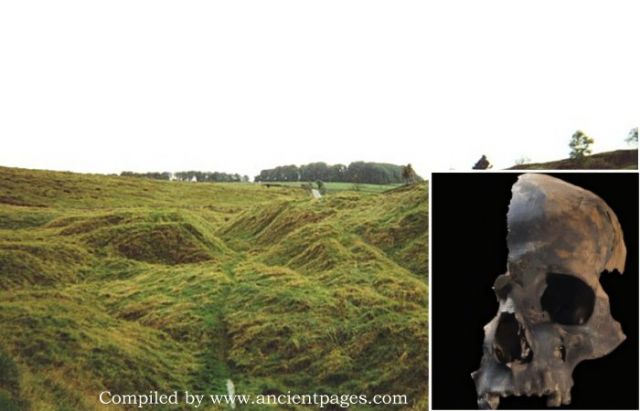 Mystery Of Charterhouse Warren’s Early Bronze Age Site Solved By ...
