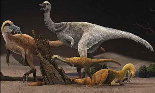 Unusual Dinosaurs Reduced In Size 100 Million Years Ago When They ...