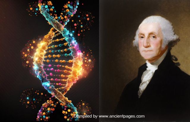 DNA Identifies Historical Remains Of George Washington’s Relatives ...