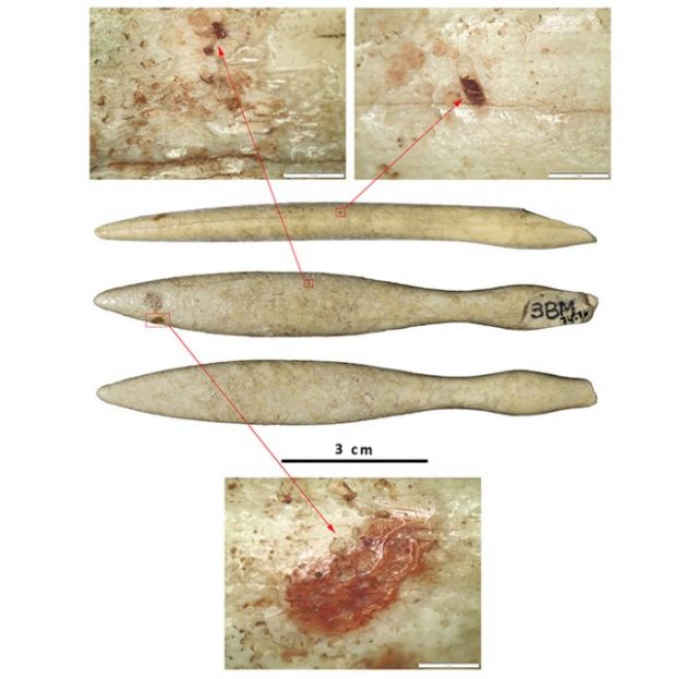 Oldest Artifact Crafted From Hippopotamus Ivory Discovered In The ...