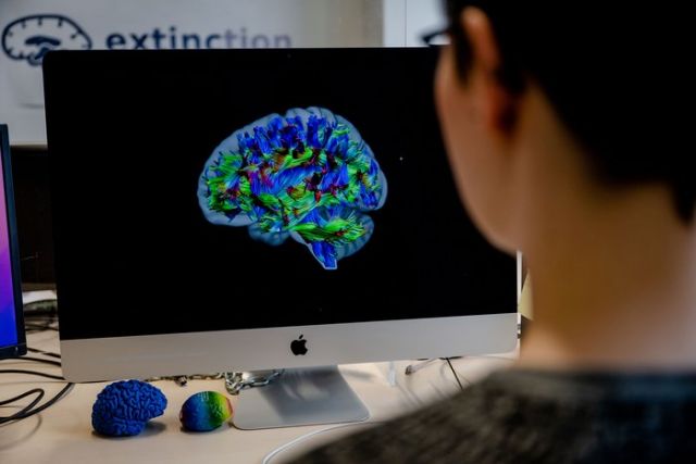 How Genes, Brain Characteristics And Intelligence Are Connected ...