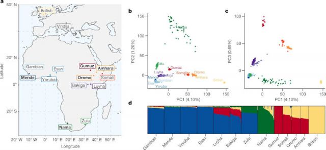 Different Approach Gives New Understanding Of Human Evolution In Africa ...