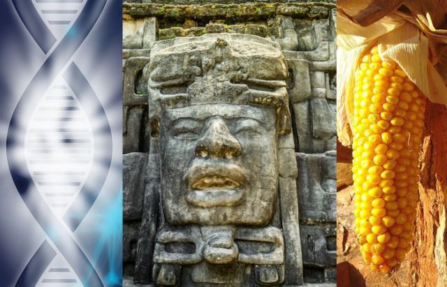 DNA Reveals Early Maya Trace Their Roots To Unknown Ancient Immigrants ...