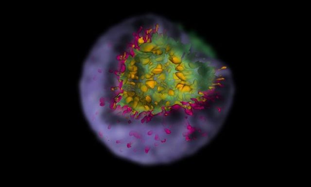 Supernova Simulations Reveal How Stellar Explosions Shape Debris Clouds ...